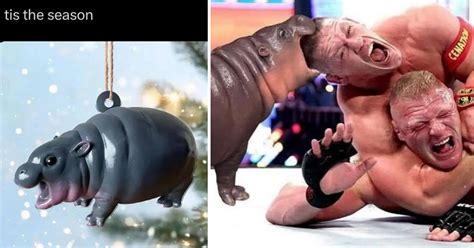 24 Squishy Silly Moo Deng Posts To Light Up Your Holidays With Moosture