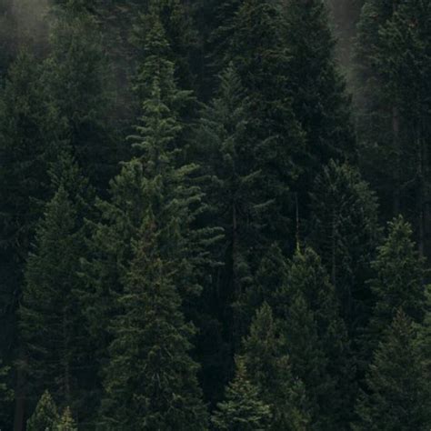 Produk Rafla Id Shopee Indonesia