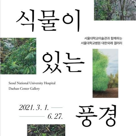 식물이 있는 풍경