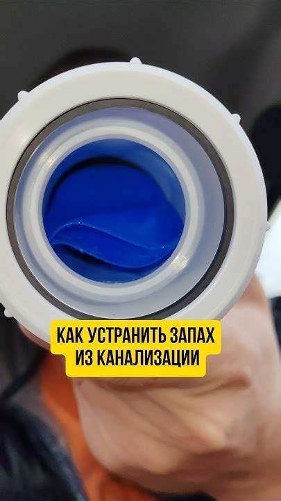 Как убрать запах из канализации канализация сантехника полезное сифон ремонт лайфхак
