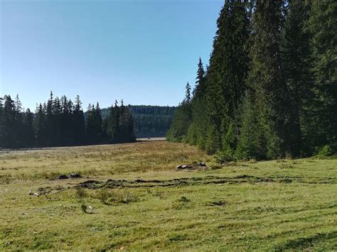 УОГС Юндола Yundola