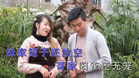 云南山歌《哥妹两人来相逢》王妃 阿科 演唱音乐民俗音乐好看视频