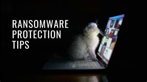 How To Mitigate The Risk Of Ransomware Attacks