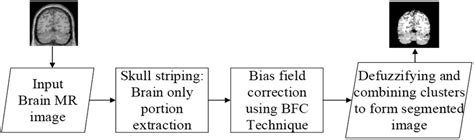 Schematic Block Diagram Of Bfc Technique For Bias Field Correction And Download Scientific