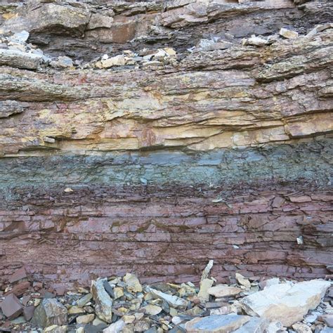 Determination Of Trace Metals By Aqua Regia Digestion