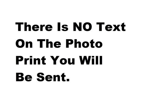 Mature Big Busty Lady Female Breast Sweet Hot Women Nude Model 8x10