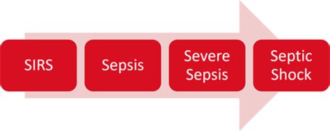 Sepsis Flashcards Quizlet