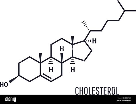 Cholesterol Molecule Essential Component Cell Stock Vector Images Alamy