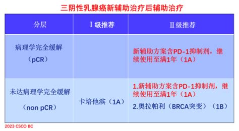 重磅升级帕博利珠单抗 化疗新辅助治疗 TNBC 获 CSCO BC 指南 Ⅱ 级推荐 丁香园