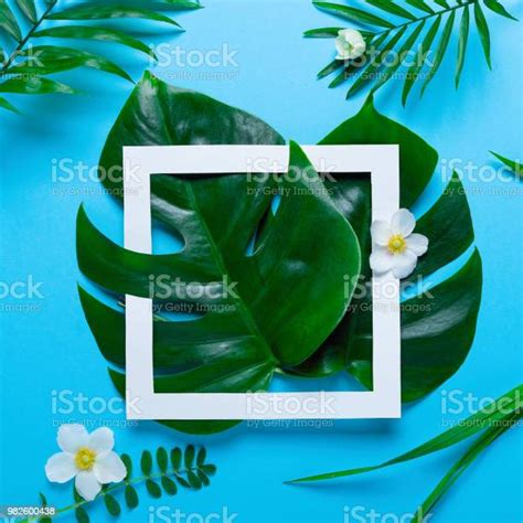 여름 열 대 Monstera 구성과 팜 핑크에 텍스트에 대 한 공간을 배경합니다 평면도 평평 하다 0명에 대한 스톡 사진 및 기타 이미지 Istock