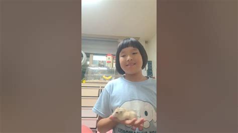 햄톨이 때문에 잘은 못춤 Youtube