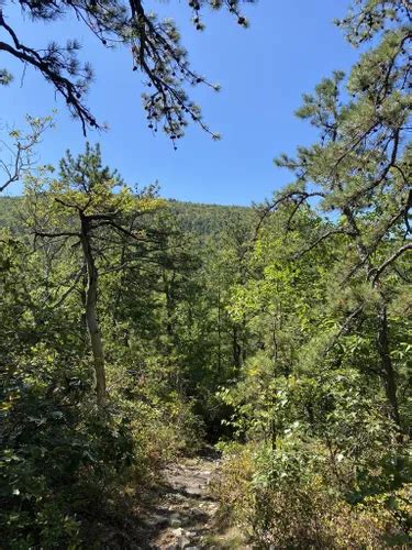 2023 Best Views Trails In Stuarts Draft AllTrails