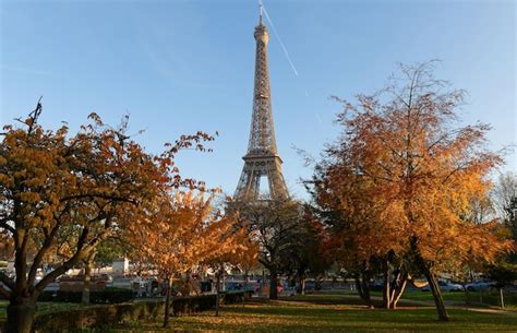 Premium Photo Beautiful View Of Autumn Trees With The Eiffel Tower In