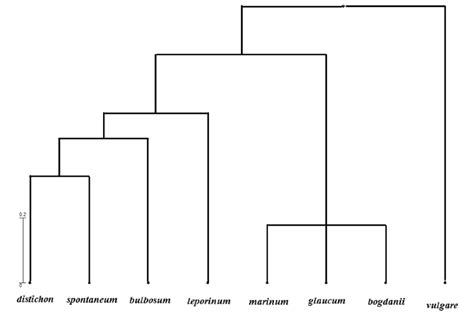 Upgma Clustering Of Hordeum Species Based On Relative Cytological Data