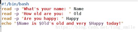 shell语句 objshell csdn博客