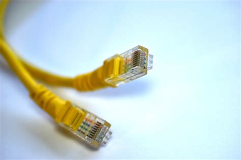 흰색 배경에 노란색 Rj45 또는 이더넷 인터넷 케이블 케이블에 대한 스톡 사진 및 기타 이미지 케이블 기가비트 네트워크 연결 플러그 Istock