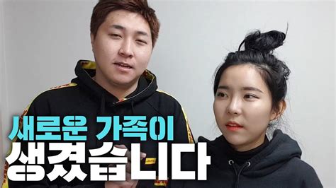 새로운가족이 생겼습니다 Youtube