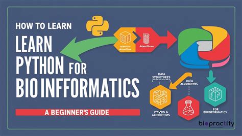 How To Learn Python For Bioinformatics Ultimate Beginners Guide