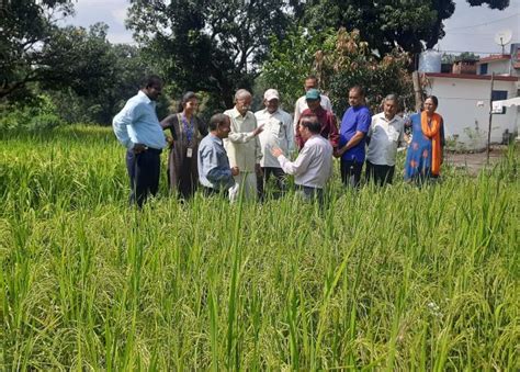 Iiswc Holds Farmer Field School In Jhabrani On Vermi Composting