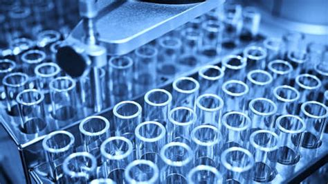 Purification Of Single Stranded Rna Oligonucleotides Using High Performance Liquid