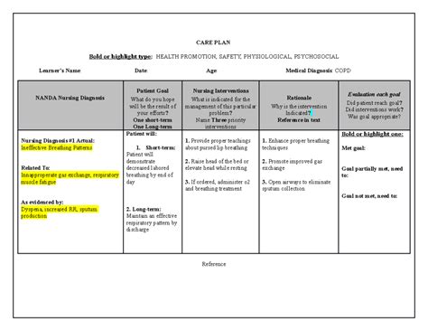 Care Plan Template Care Plan Bold Or Highlight Type Health Promotion Safety Physiological