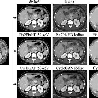 Sample Images Of Internal Test Showing Input Target Ground Truth And
