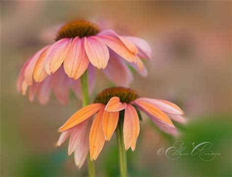 Collection Of The Best Photoshop Cs6 Tutorials