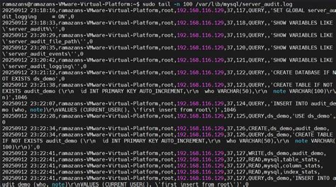 How To Apply Data Governance For Mariadb With Datasunrise