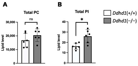 Comparison Of Total Amount Of LPC LPI And LPA Amount Of LPC A LPI Download Scientific