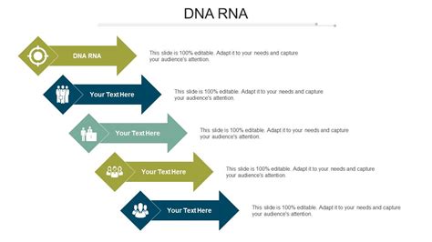 DNA RNA Ppt Powerpoint Presentation Layouts Show Cpb Presentation Graphics Presentation