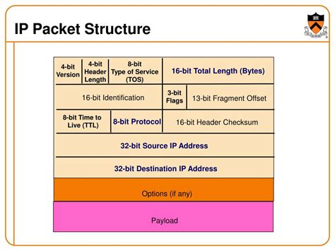 PPT IP Packet Switching PowerPoint Presentation Free Download ID 902880