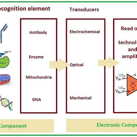 Flow Chart For The Classification Of Urea Biosensors Download