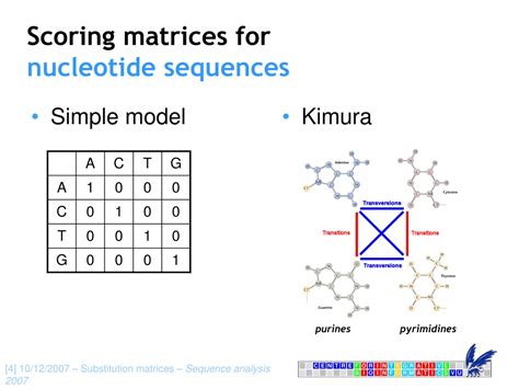 Ppt Substitution Matrices In Sequence Analysis Powerpoint