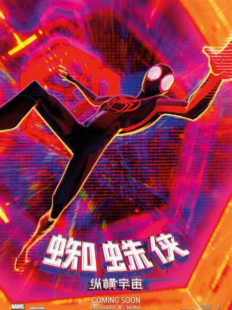 蜘蛛侠：纵横宇宙 电影 高清正版在线观看 Bilibili 哔哩哔哩