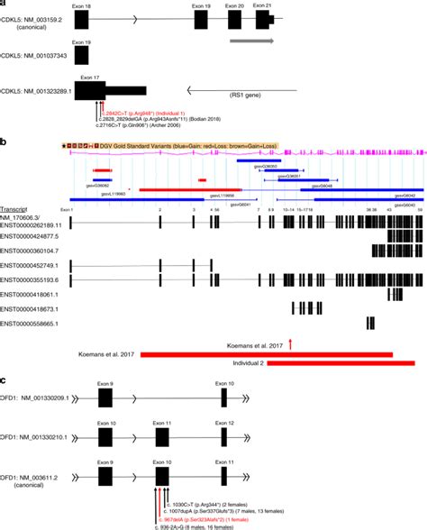 Alternative Transcripts In Variant Interpretation The Potential For Missed Diagnoses And