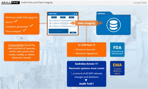 Audit Trail Requirements Gxp Data Integrity Training