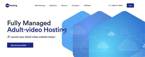 Best Adult Video Hosting In Depth Review