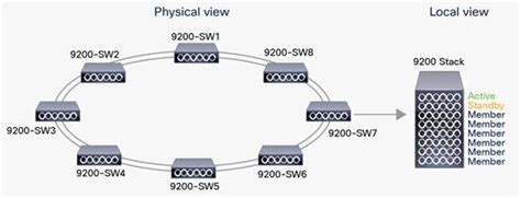 Cisco C STACK KIT Stack Cable Module Ownerskey