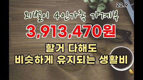 4인가족 가계부 22년 9월 외벌이 4인가족 가계부 절약브이로그 4인가족가계부지출자녀둘생활비지출외벌이가계부외벌이지출비용초등학교사교육비용4인가족식비생활비