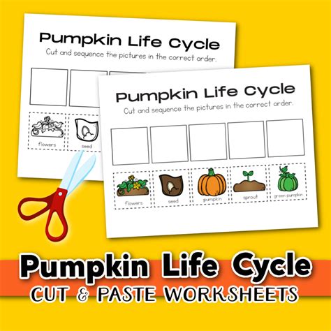 Free Printable Pumpkin Life Cycle Sequencing Worksheets The Worksheets Library