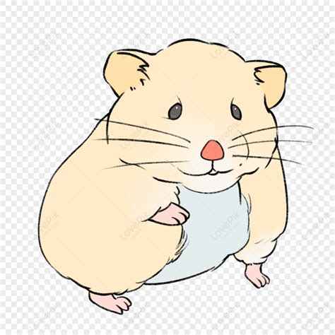 햄스터 클립 아트 Png 일러스트 및 벡터 이미지 무료 다운로드 Lovepik