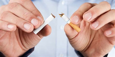 Arterioskleroza Mediflora