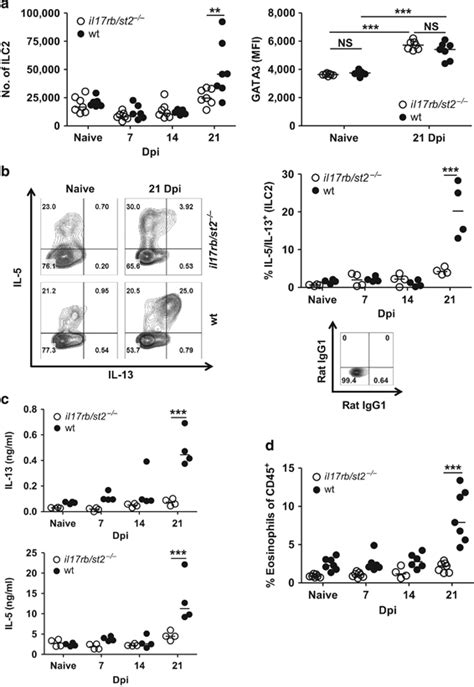 Innate Lymphoid Cells Type 2 Ilc2 Derived Interleukin Il 13 And