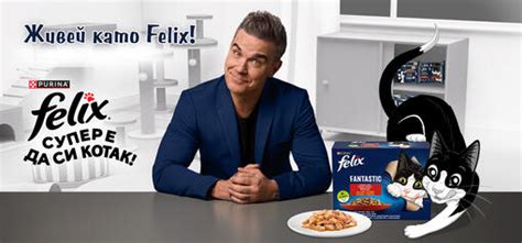 Purina Felix мокра храна за котки Purina