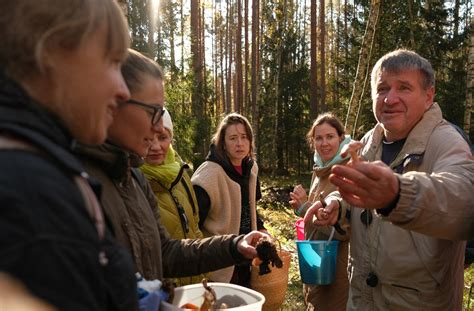 Грибные места в Беларуси