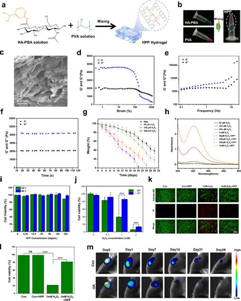 A Ros Responsive Hydrogel Encapsulated With Matrix Metalloproteinase 13 Sirna Nanocarriers To