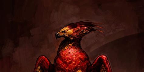 Феникс Фоукс из Гарри Поттера 68 фото