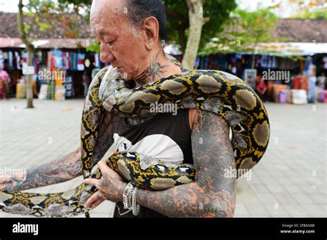 A Tattooed Balinese Man With His Python Wrapped Around His Body Stock