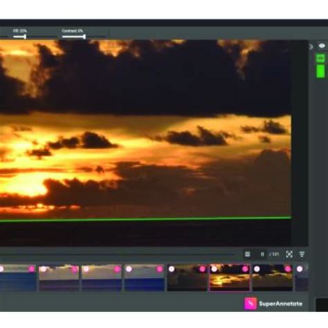 Image Annotation Using Superannotate Software Download Scientific Diagram