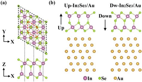 Interfacial Electronic States And Self Formed Asymmetric Schottky Contacts In Polar α In2se3 Au